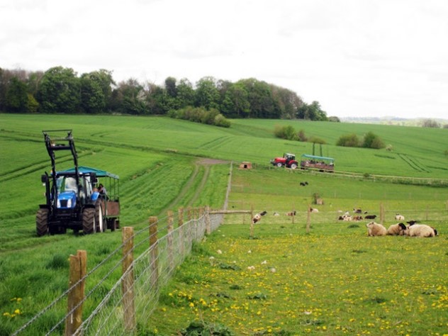 Libramul IPA – The Best Emulsifier for your Products – Gri Group